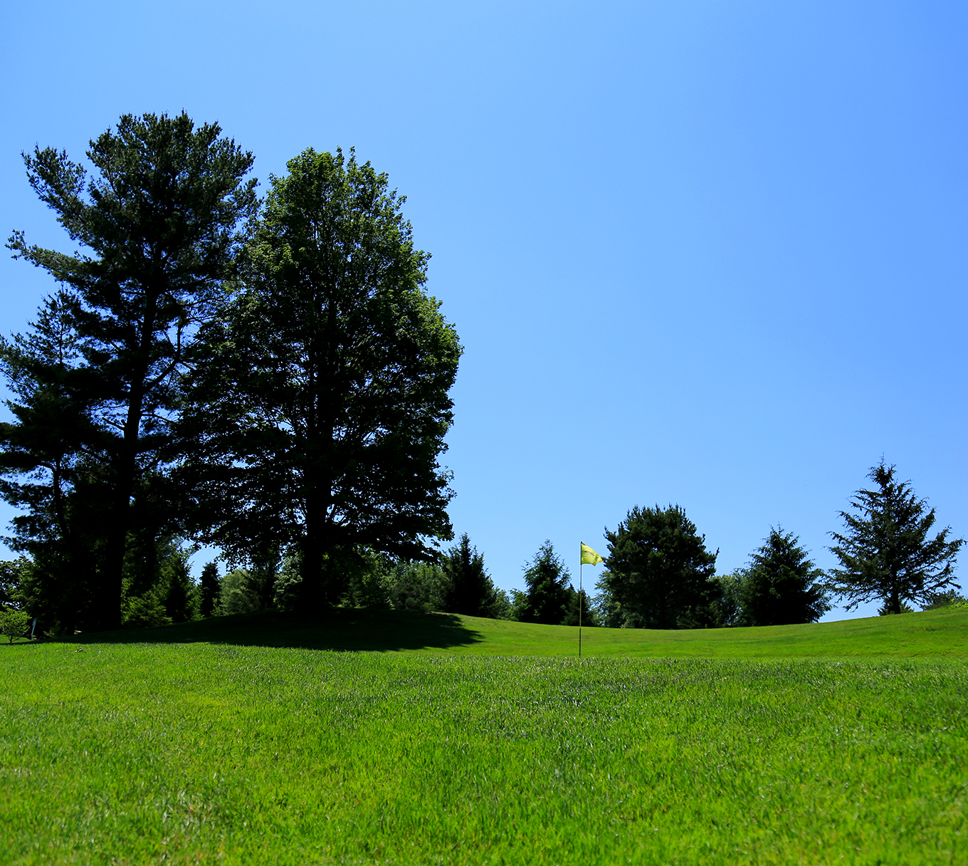 Gallery – Twin Streams Golf