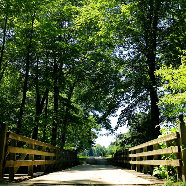 Gallery – Twin Streams Golf