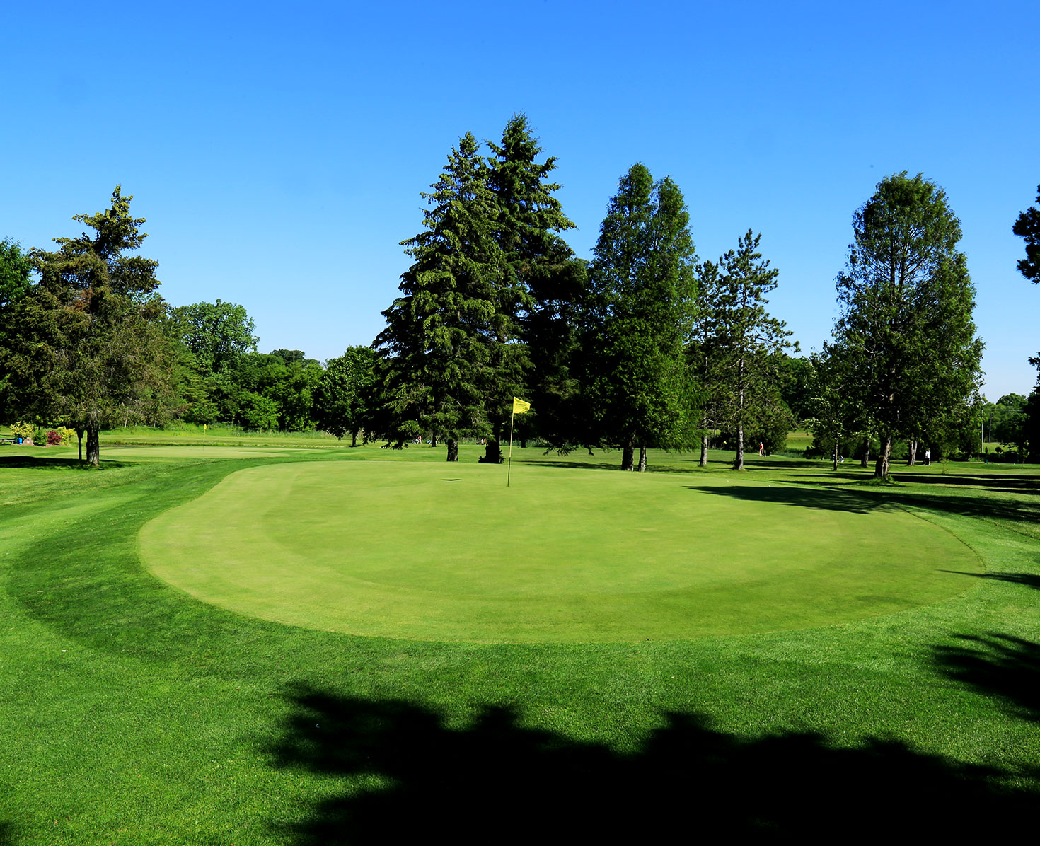 Gallery – Twin Streams Golf